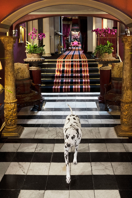 Prestonfield House | Luxury 5 Star Hotel in Edinburgh